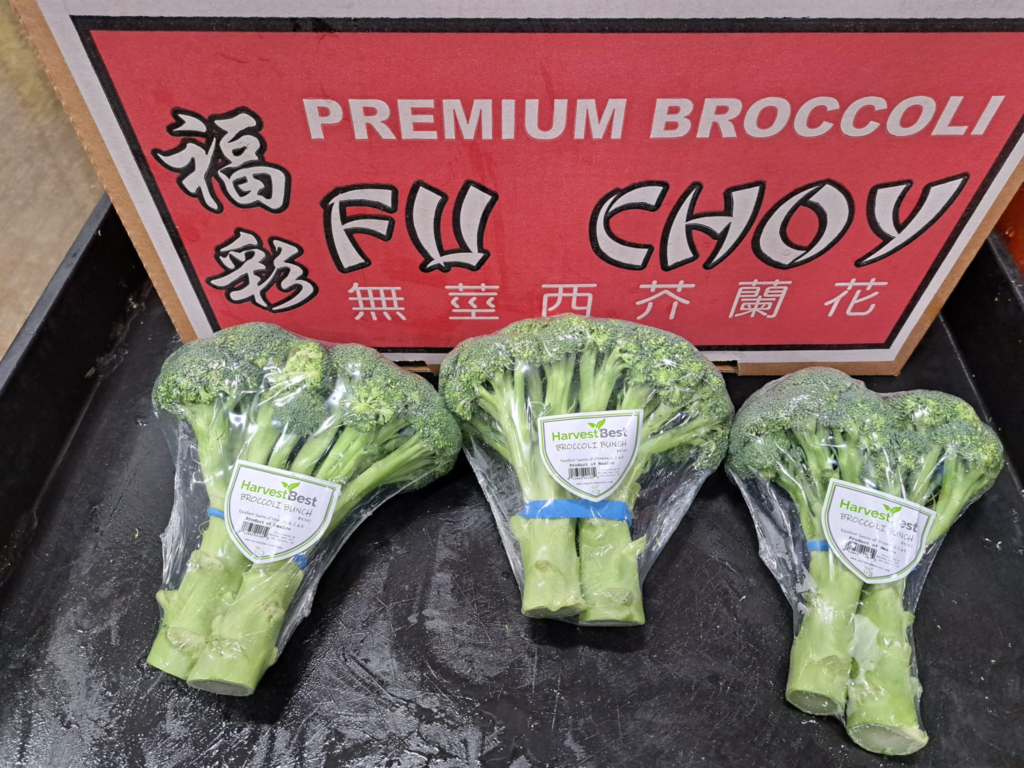 Broccoli – Harvest Best Inc